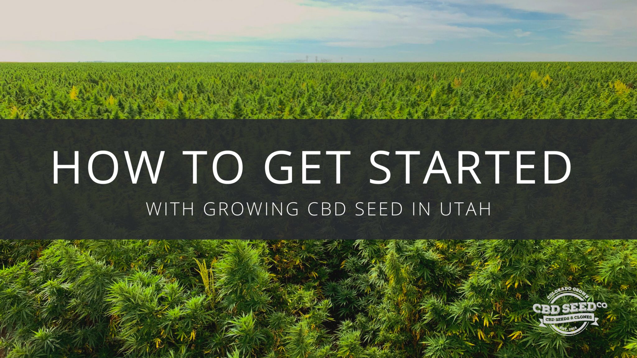 How to Get Started with Growing CBD Seed in Utah - CBD Seed Co.