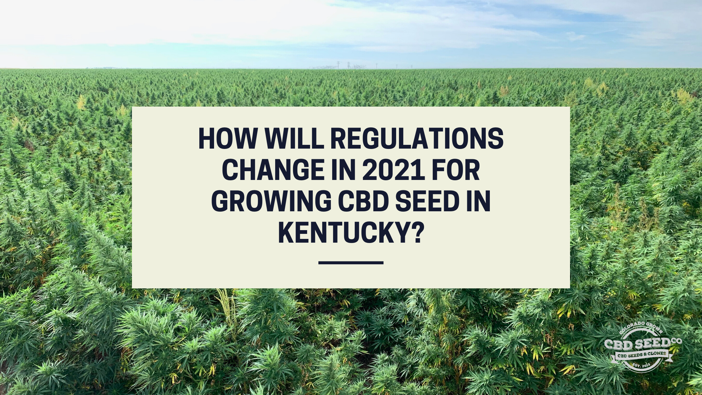 How Will Regulations Change in 2021 for Growing CBD Seed in Kentucky ...